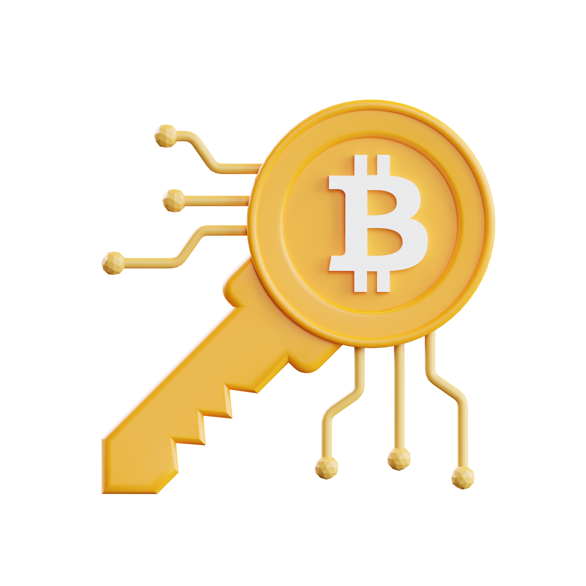 What Do You Need To Access A Bitcoin Wallet Address